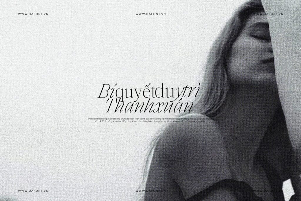 DFVN Saol Text Việt hóa (15 font)