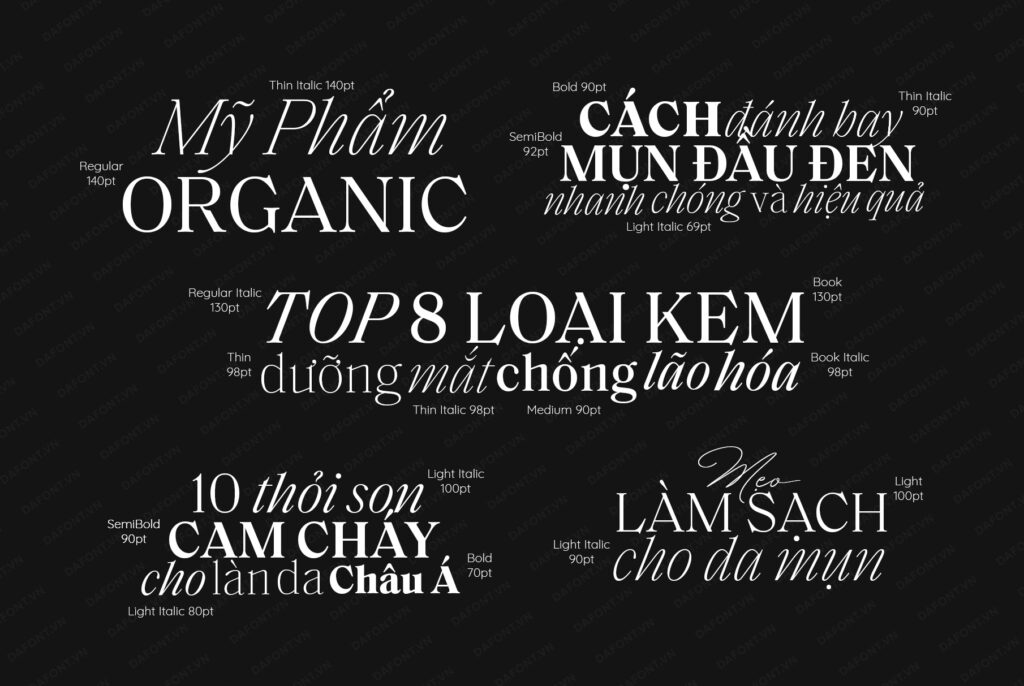 DFVN Saol Text Việt hóa (15 font)