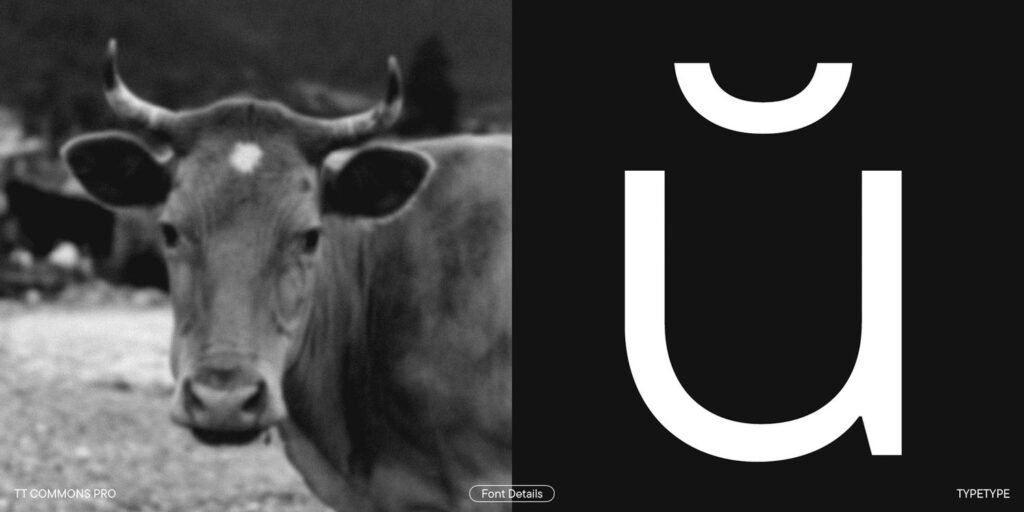 TT Commons Pro Font Family