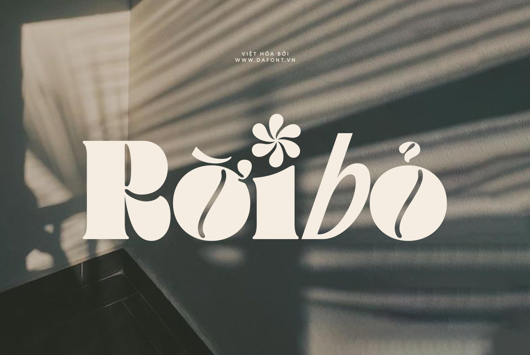 Xuong Display Typeface Font Anh Trai Vượt Ngày Chông Gai